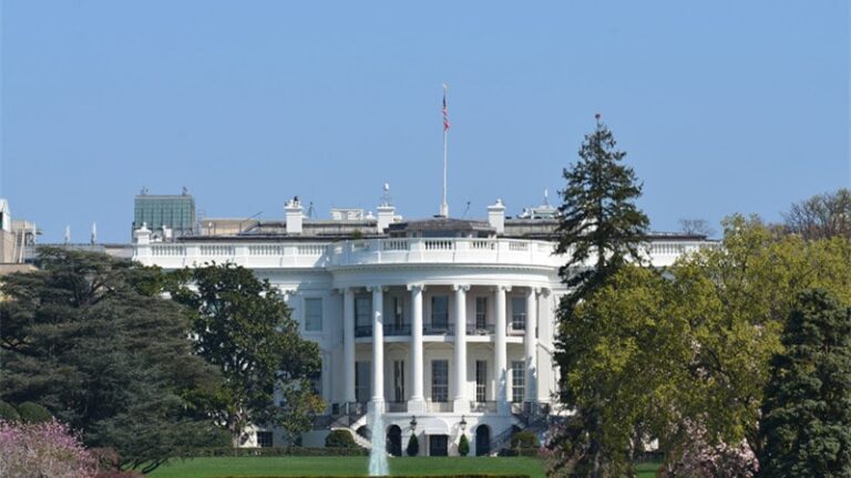 Understanding Governments: 13 Examples of Federalism